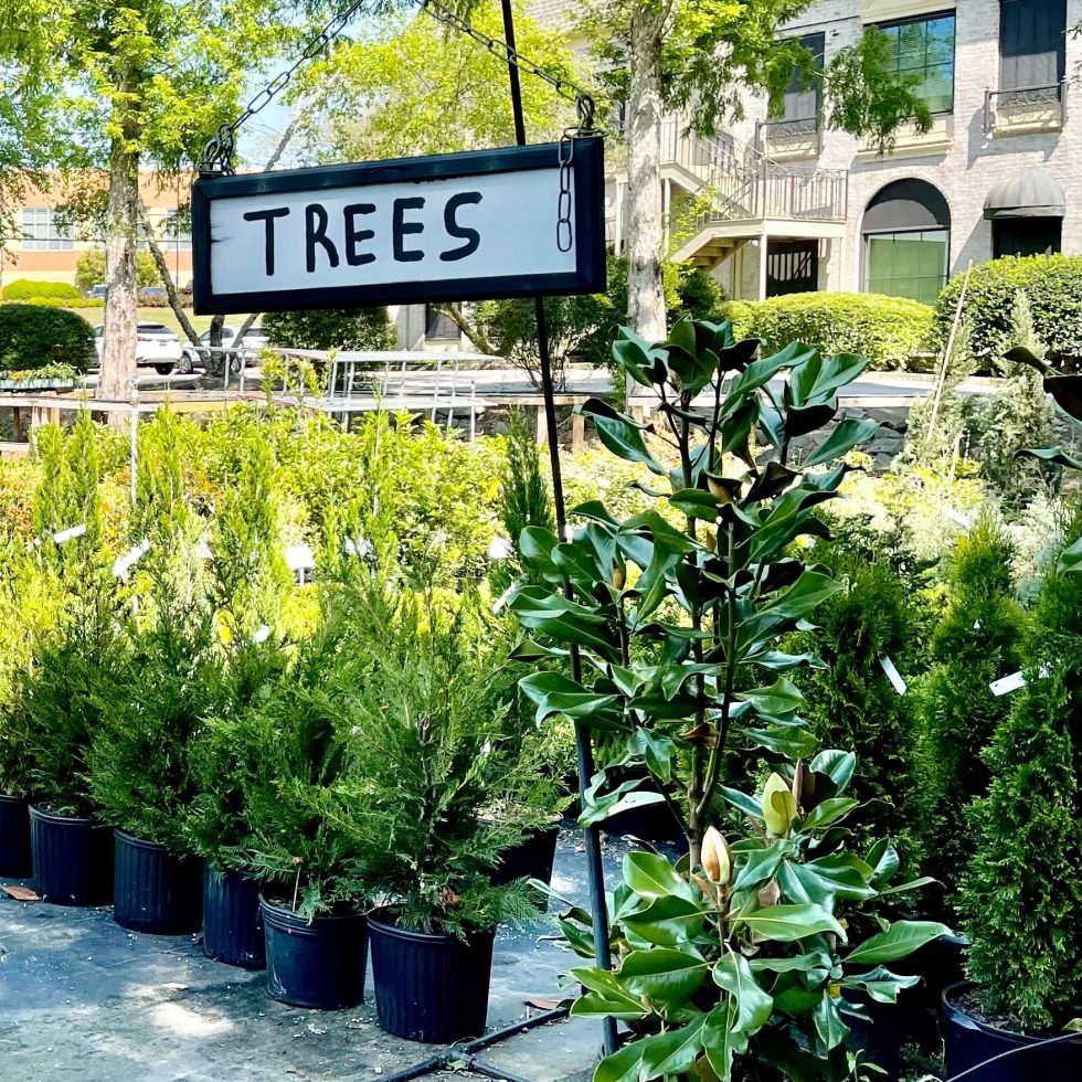 Birmingham Plant Nursery and Garden Shop - Collier's Nursery